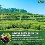 60 count green tea bags