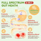 60 count gummy probiotics for women