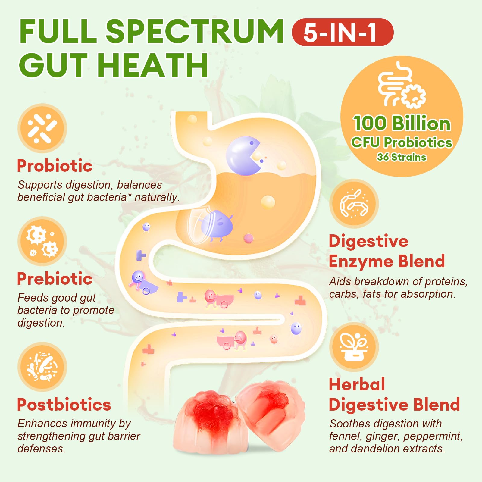 60 count gummy probiotics for women