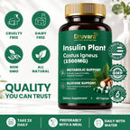 60 count insulin plant capsules