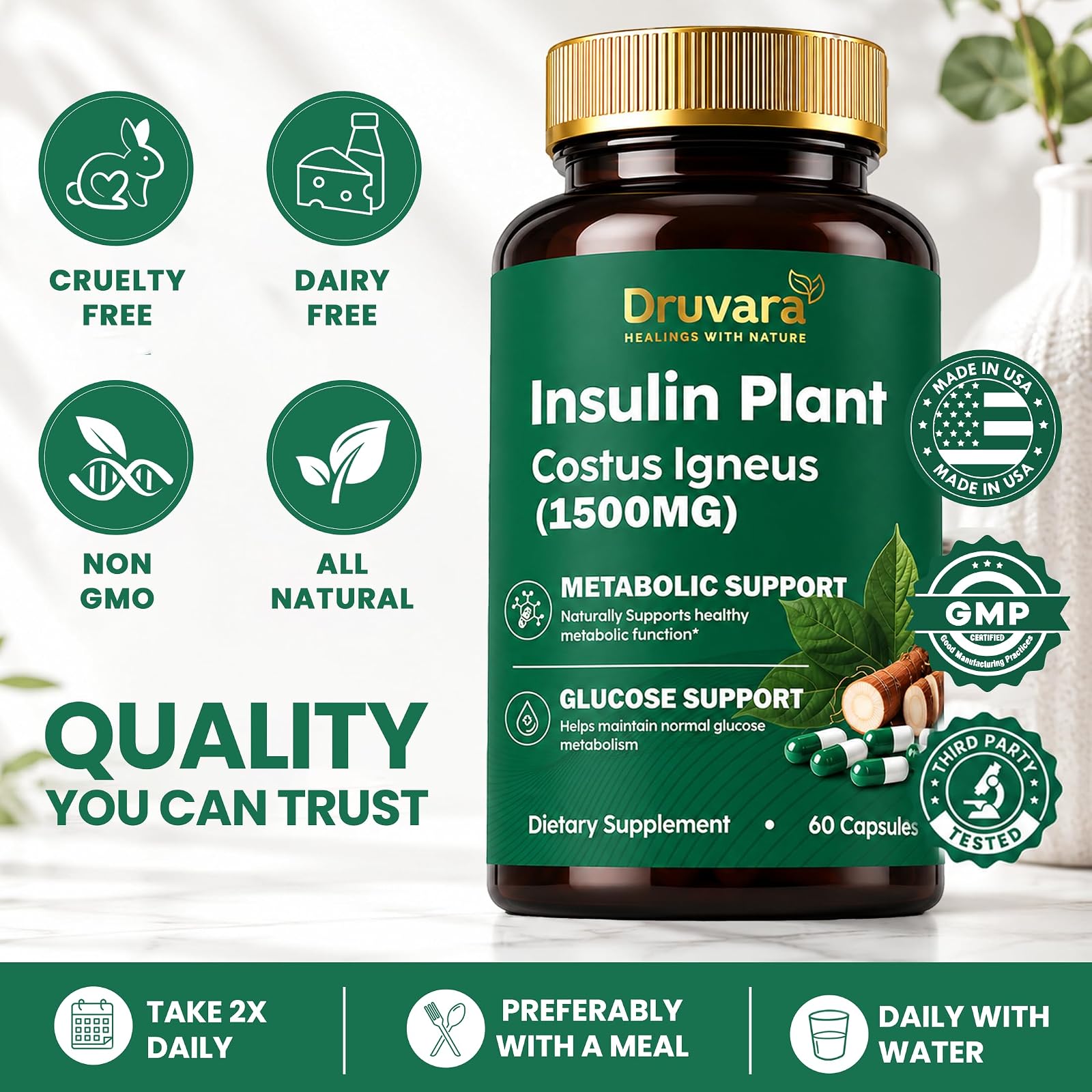 60 count insulin plant capsules