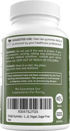 60 count Jiva Shilajit gummies