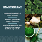 60 count leaky gut formula