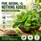 60 count lemon balm tea bags