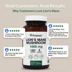 60 count Lion's Mane mushroom capsules