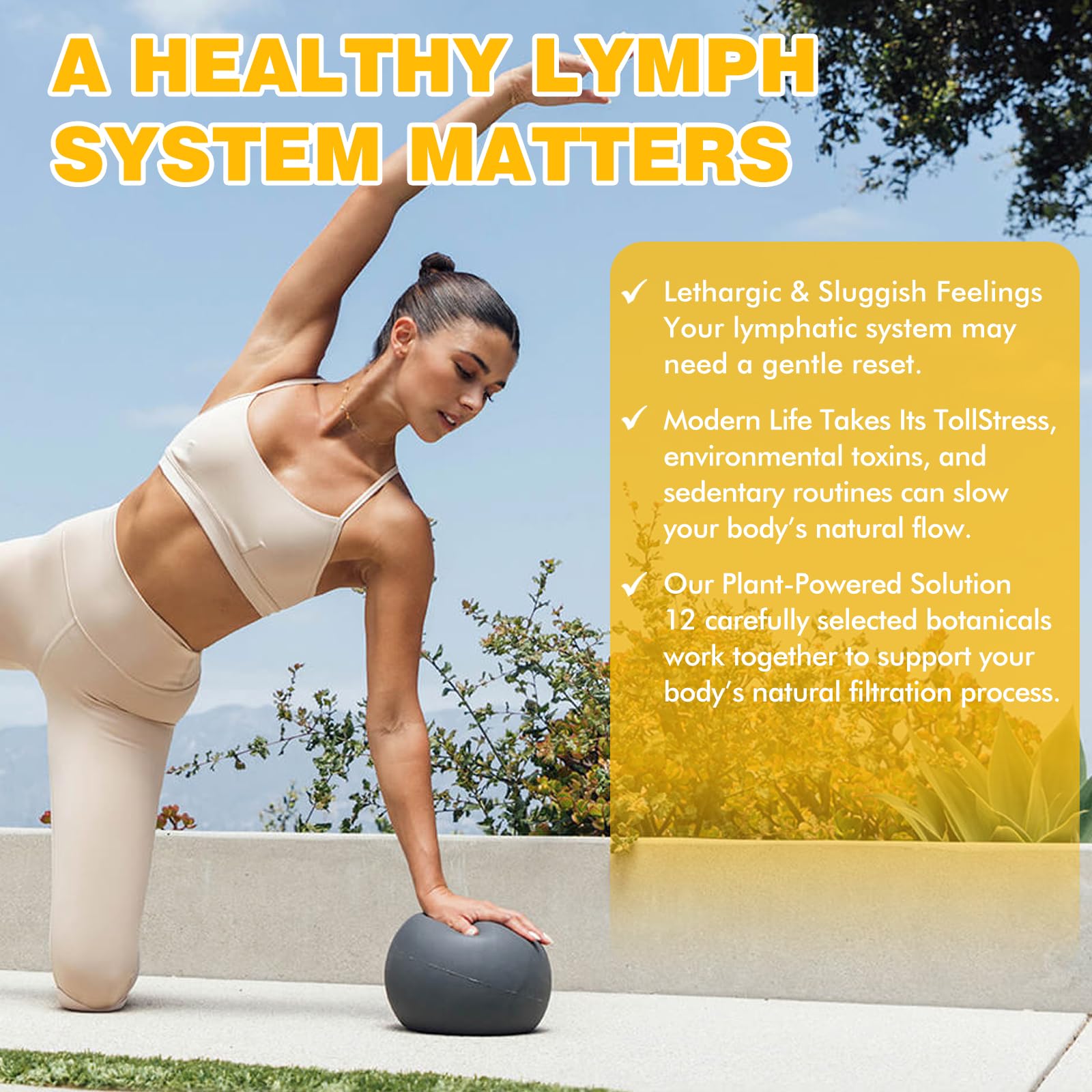 60 count lymph support gummies