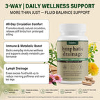 60 count lymphatic health capsules