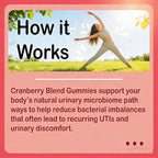 60 count multivitamins for daily wellness