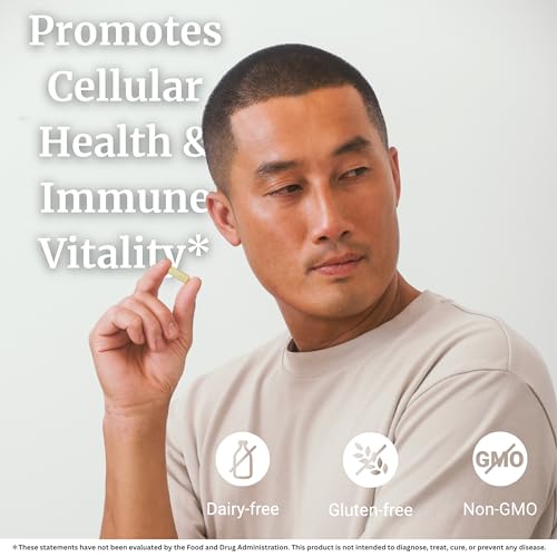 60 count multivitamins for vitality