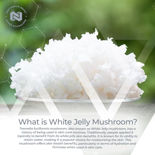 60 count mushroom capsules for daily use