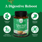 60 count psyllium husk supplements
