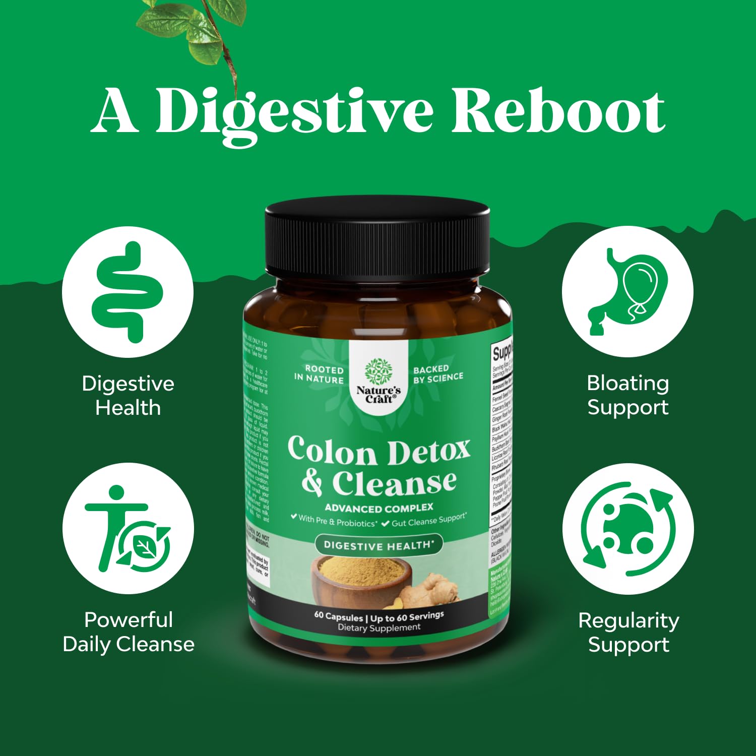 60 count psyllium husk supplements