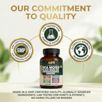 60 count sea moss capsules for energy