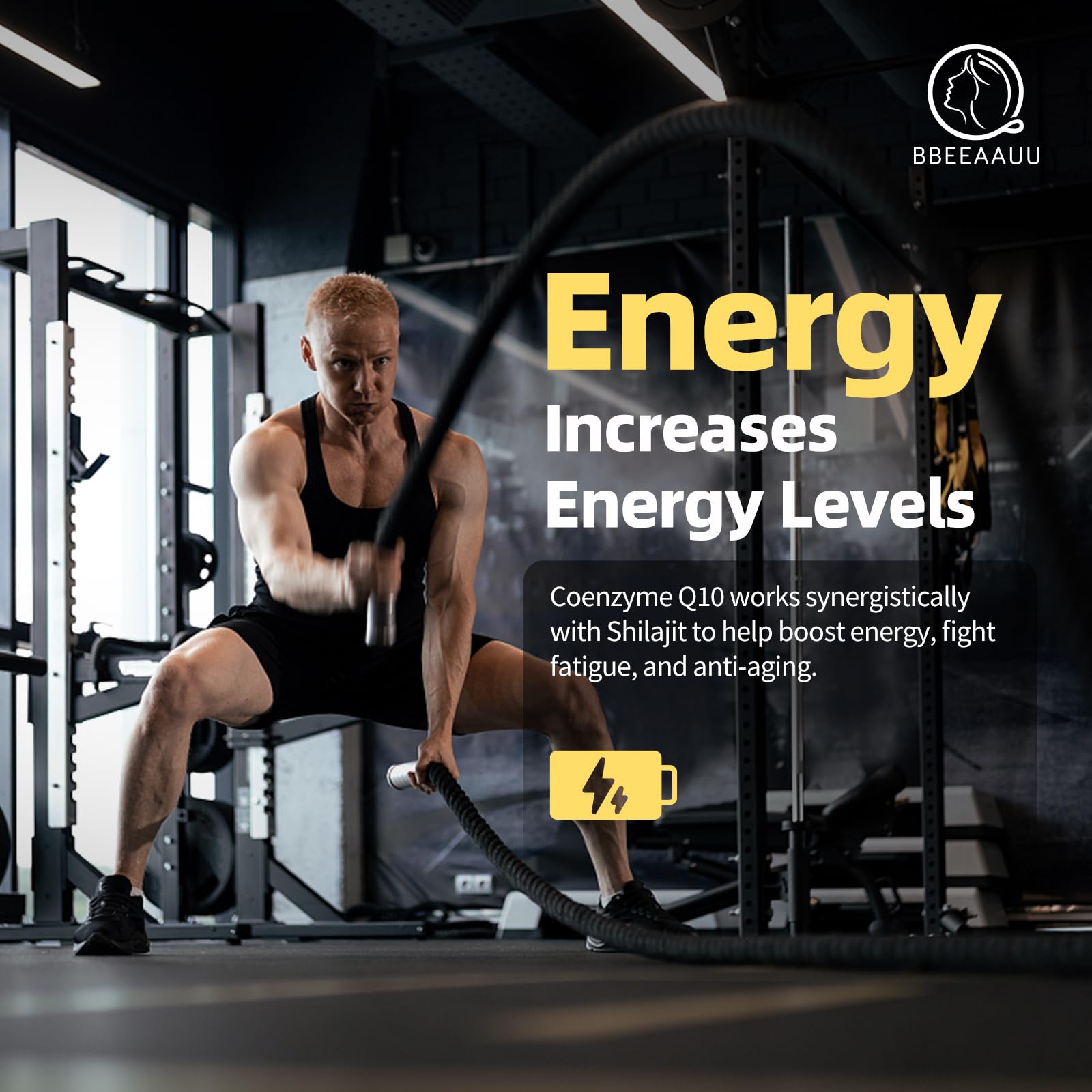 60 count shilajit capsules for wellness