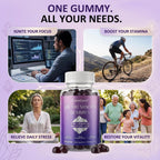 60 count shilajit gummies for wellness