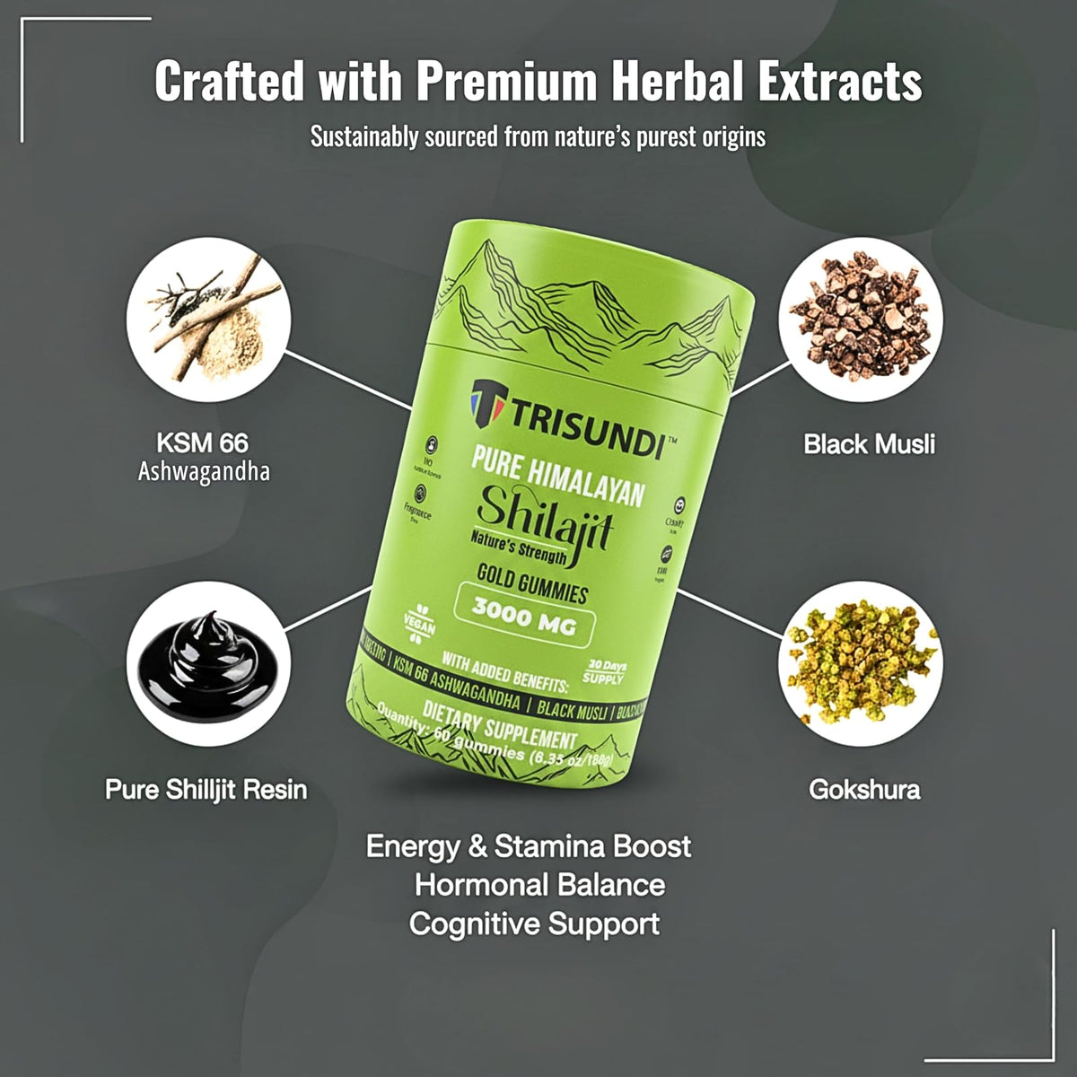 60 count Shilajit gummies package