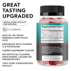 60 count shilajit supplement