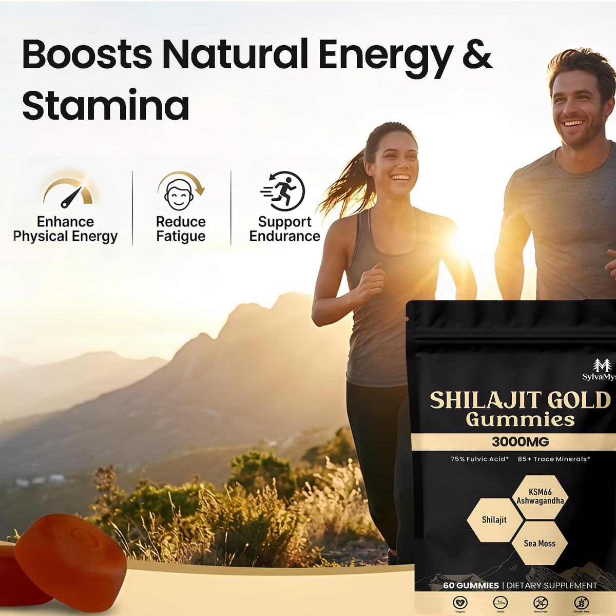 60 count Shilajit wellness gummies