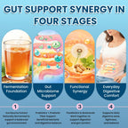 60 count Synergy Kombucha gummies