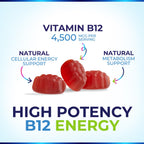 60 count vitamin B12 gummies for daily use