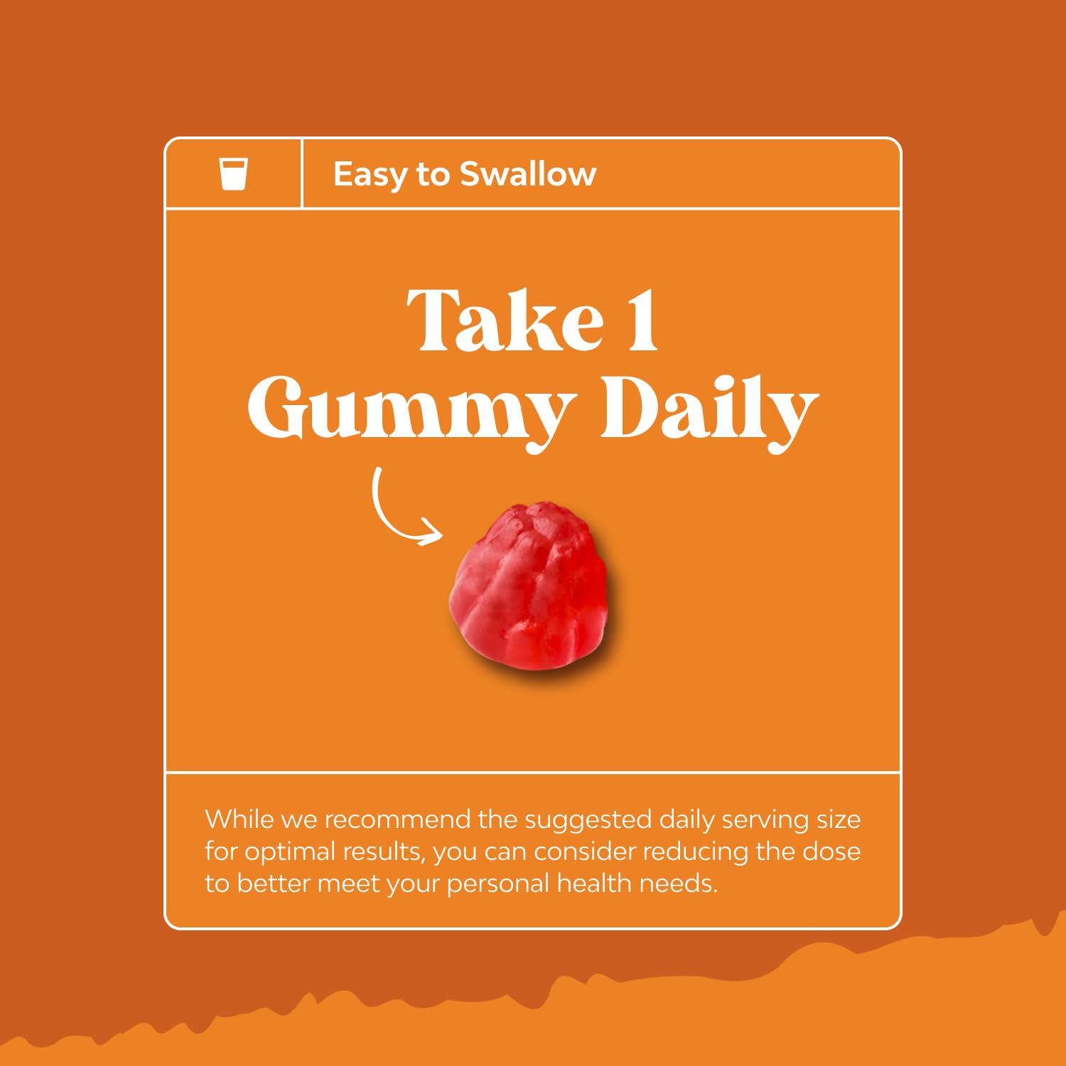 60 count vitamin B6 gummy pack