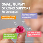 60 count zinc gummies for kids