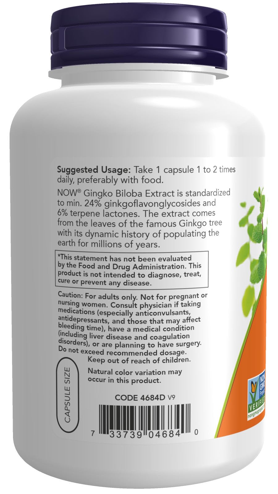 60 mg ginkgo biloba capsules for focus
