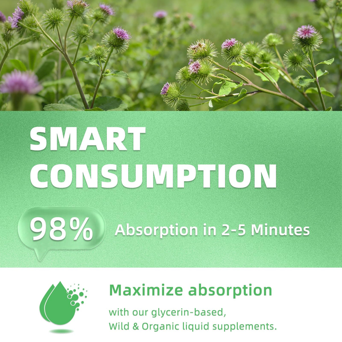 60 ml burdock root herbal remedy