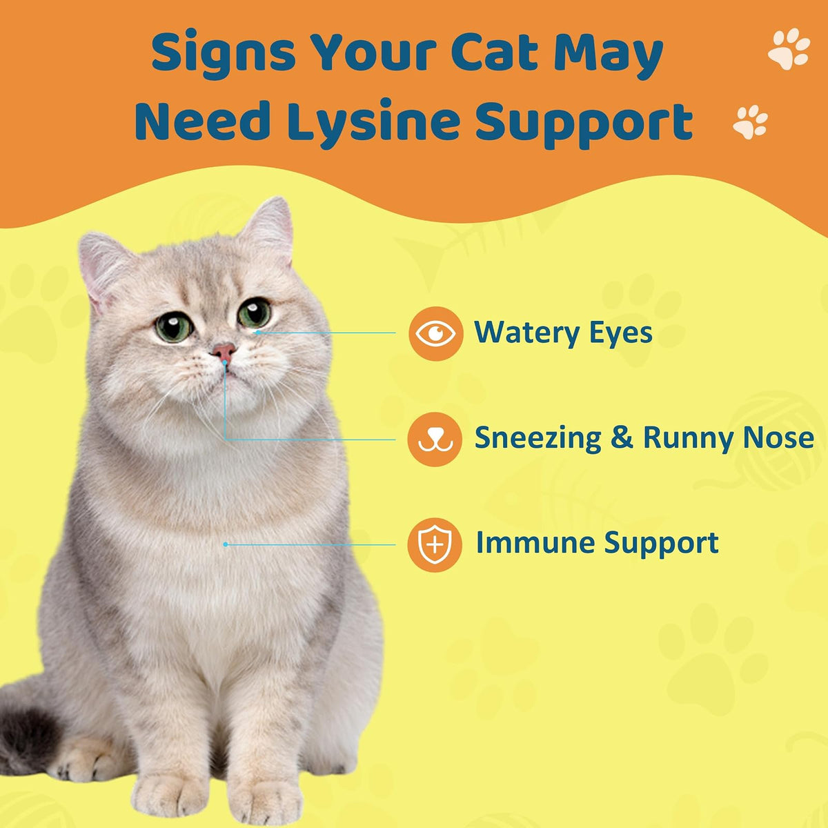 60 ml L-Lysine supplement for felines