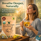 60 pyramid bags of mullein tea