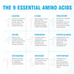 60 servings of essential amino acids