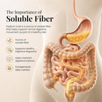 60 veg capsules for daily fiber