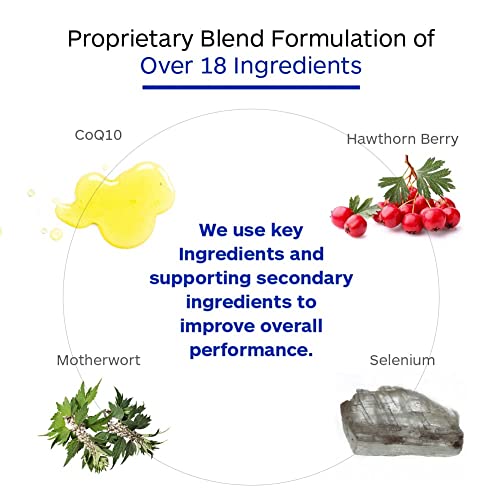 60 vegetarian capsules for daily wellness