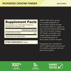 600 g creatine for muscle growth