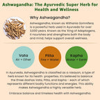 600 mg ashwagandha for balanced mood