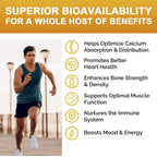 600 mg calcium for bone health