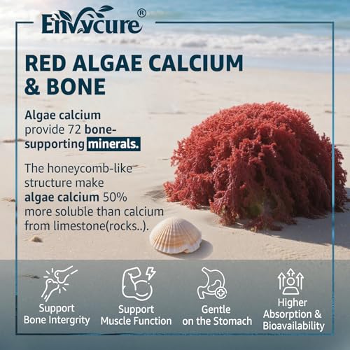 600 mg calcium supplement for strong bones