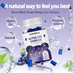 600 mg choline gummies for focus