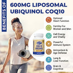 600 mg coq10 for daily wellness