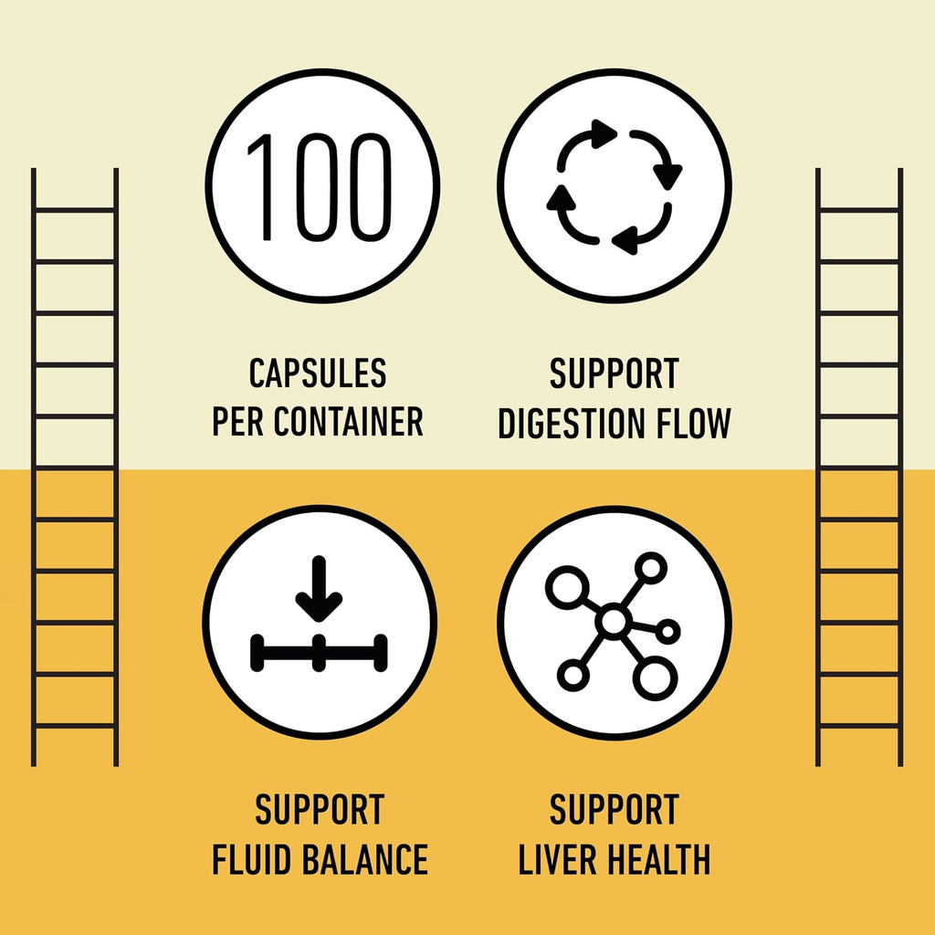 600 mg dandelion root dosage