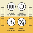 600 mg dandelion root dosage