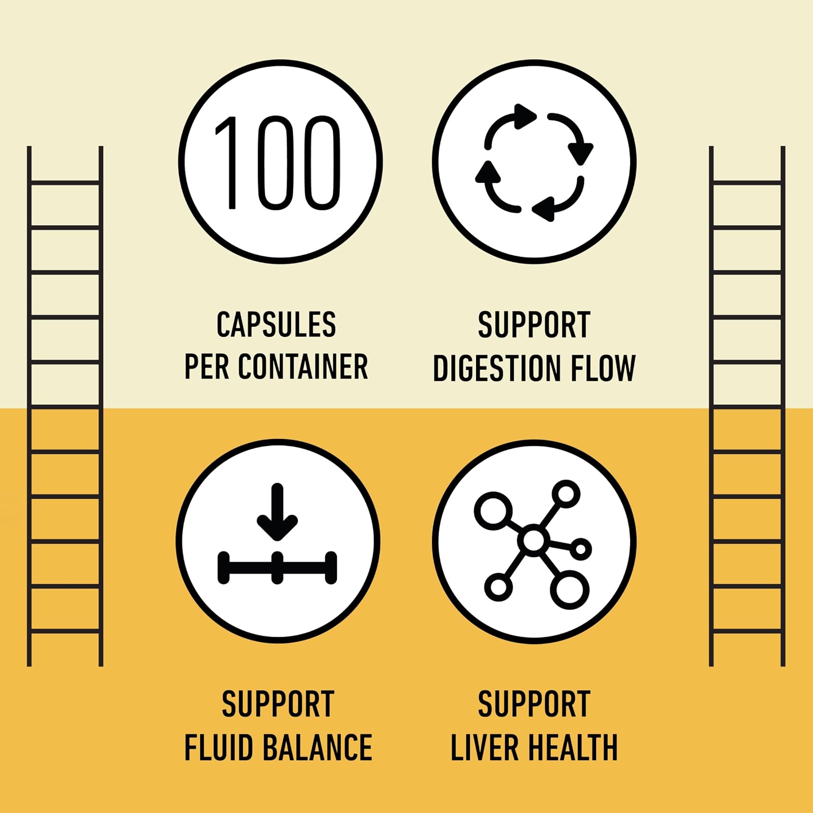 600 mg dandelion root dosage