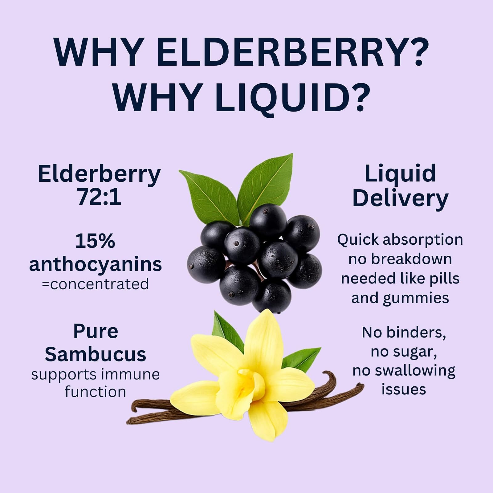 600 mg elderberry drops for wellness