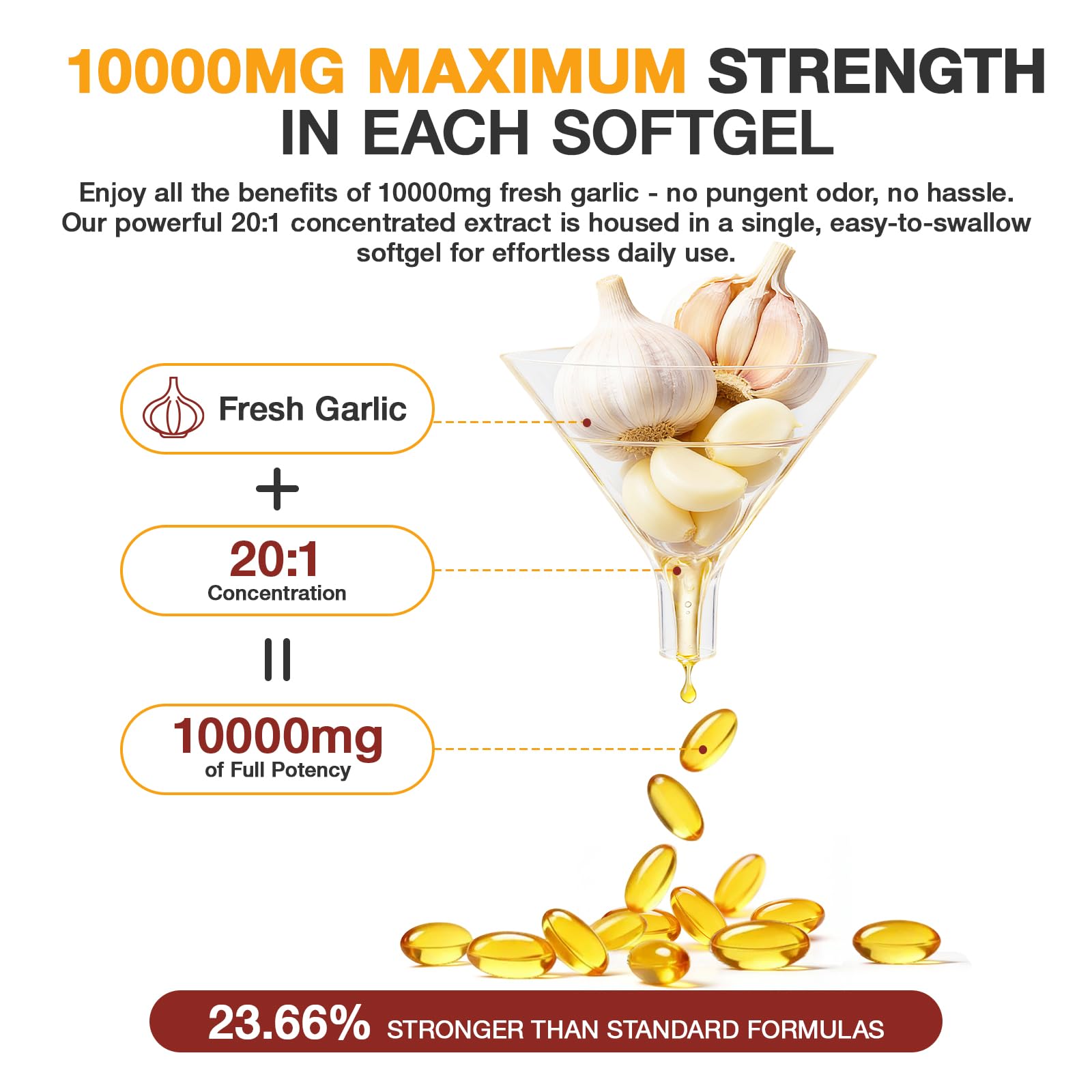 600 mg garlic extract benefits