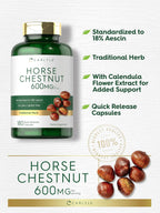 600 mg horse chestnut extract dosage