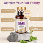 600 mg NMN for healthy aging