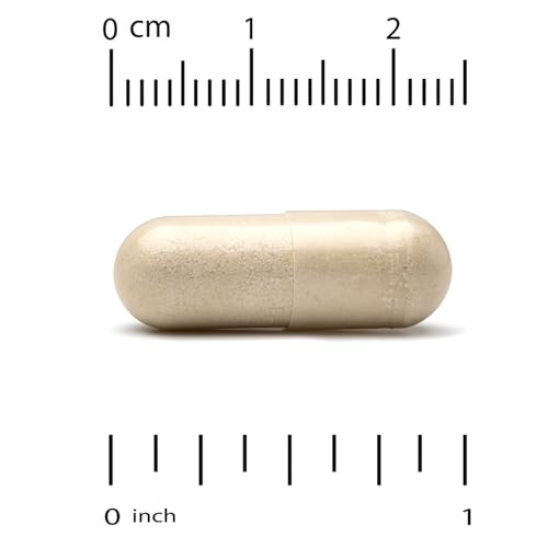 600 mg reishi mushrooms for daily health