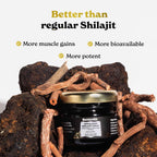 600 mg shilajit gold capsules