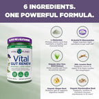 6000 mg l-glutamine for recovery