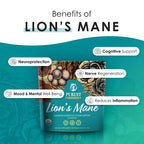 60g lion's mane health benefits